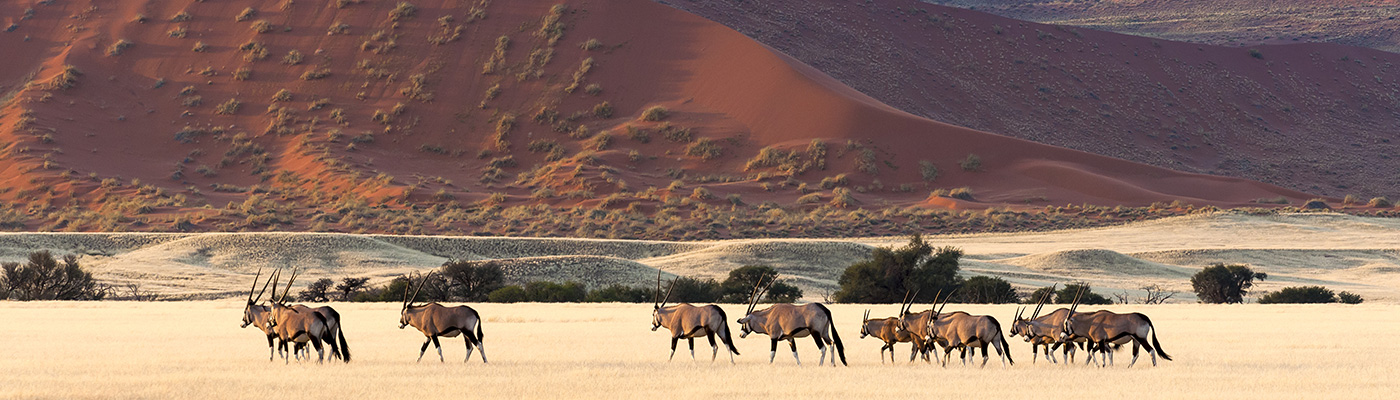 Namíbia | Latitudes